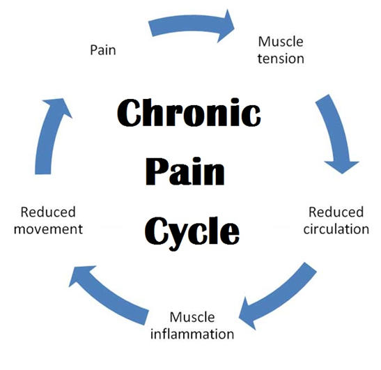 What Is Pain and Why Do I Have It | Live to Move PT